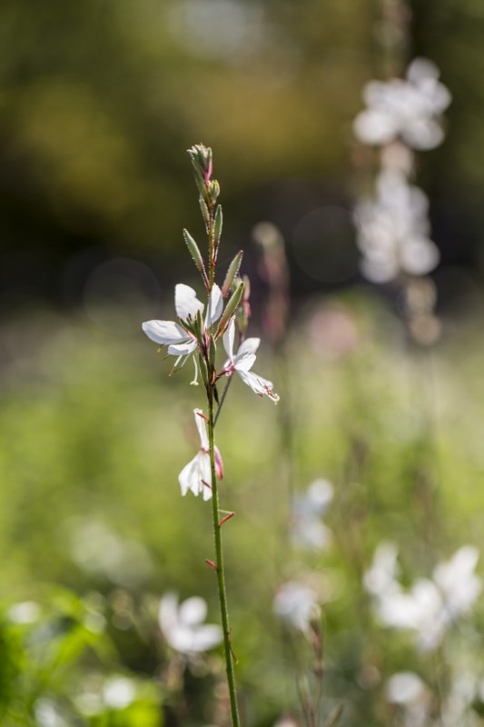 Gedenkseite suchen - Gemeinsam Trauern